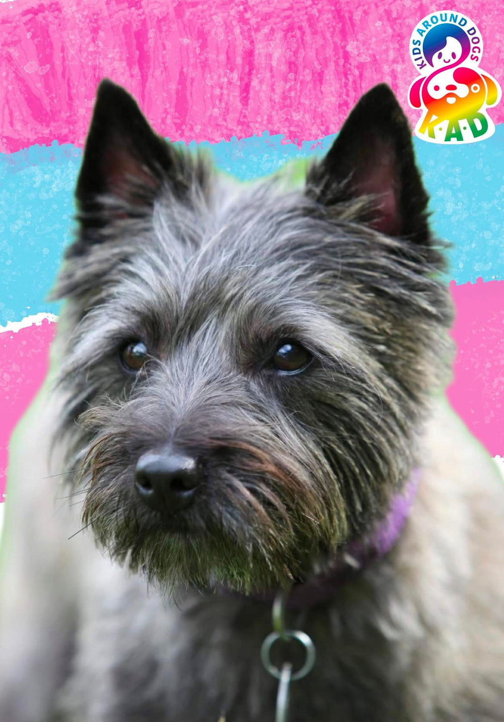 The Wizard of Dogz – Kids Around Dogs