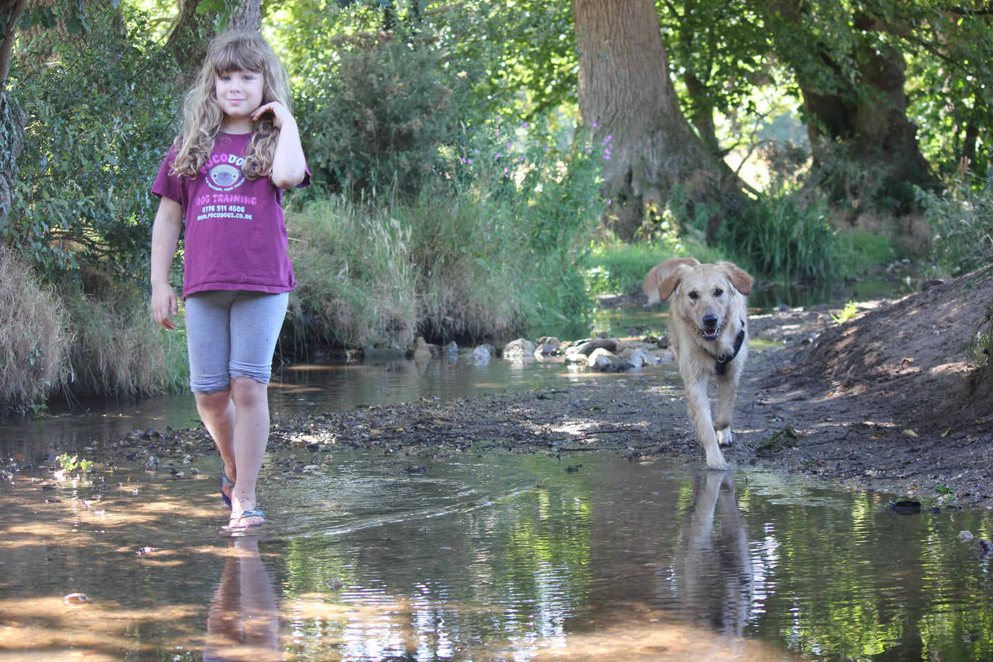 Kids Around Dogs