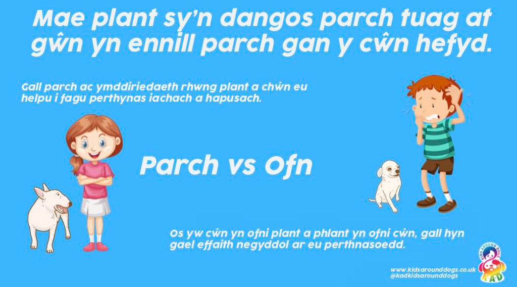 Respect vs Fear - Welsh – Kids Around Dogs
